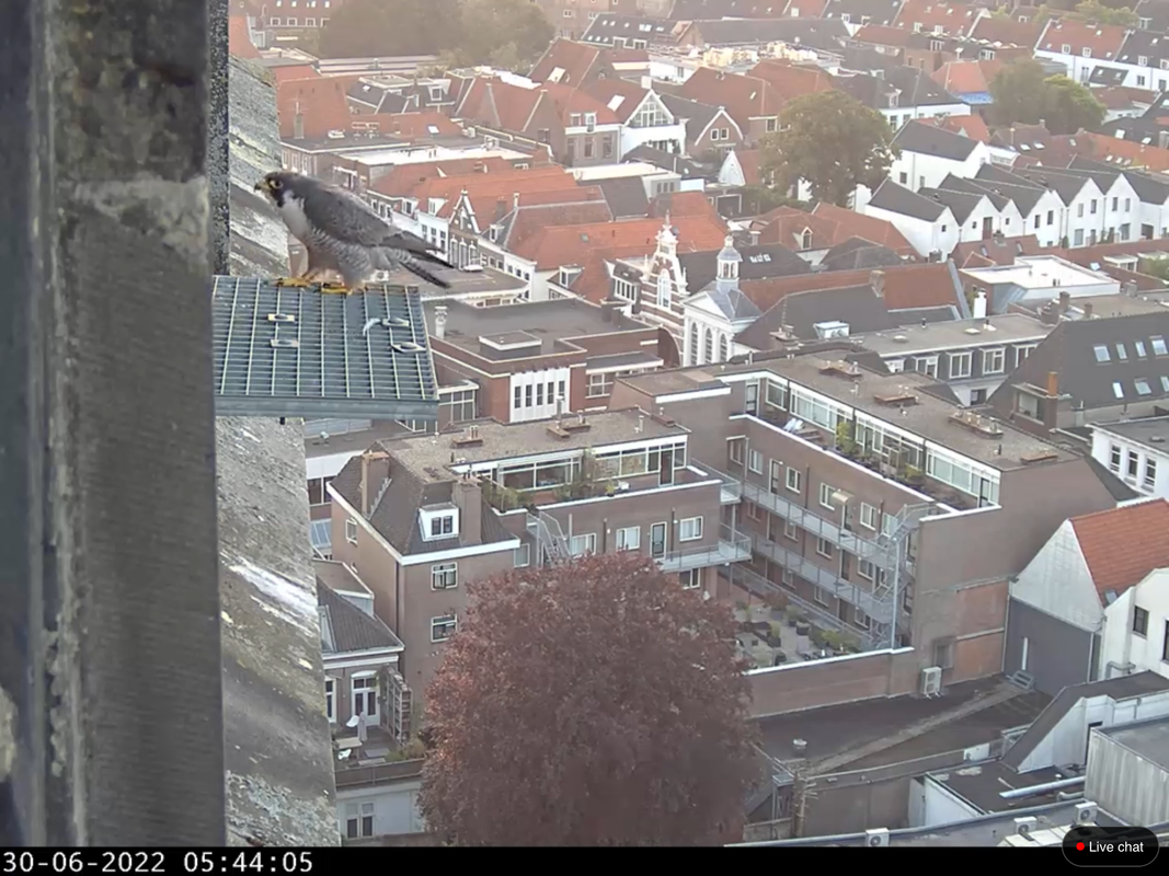 A137 F222 1 E05 45 B4 B95 D 9 B6928 F0214 D — Postimages