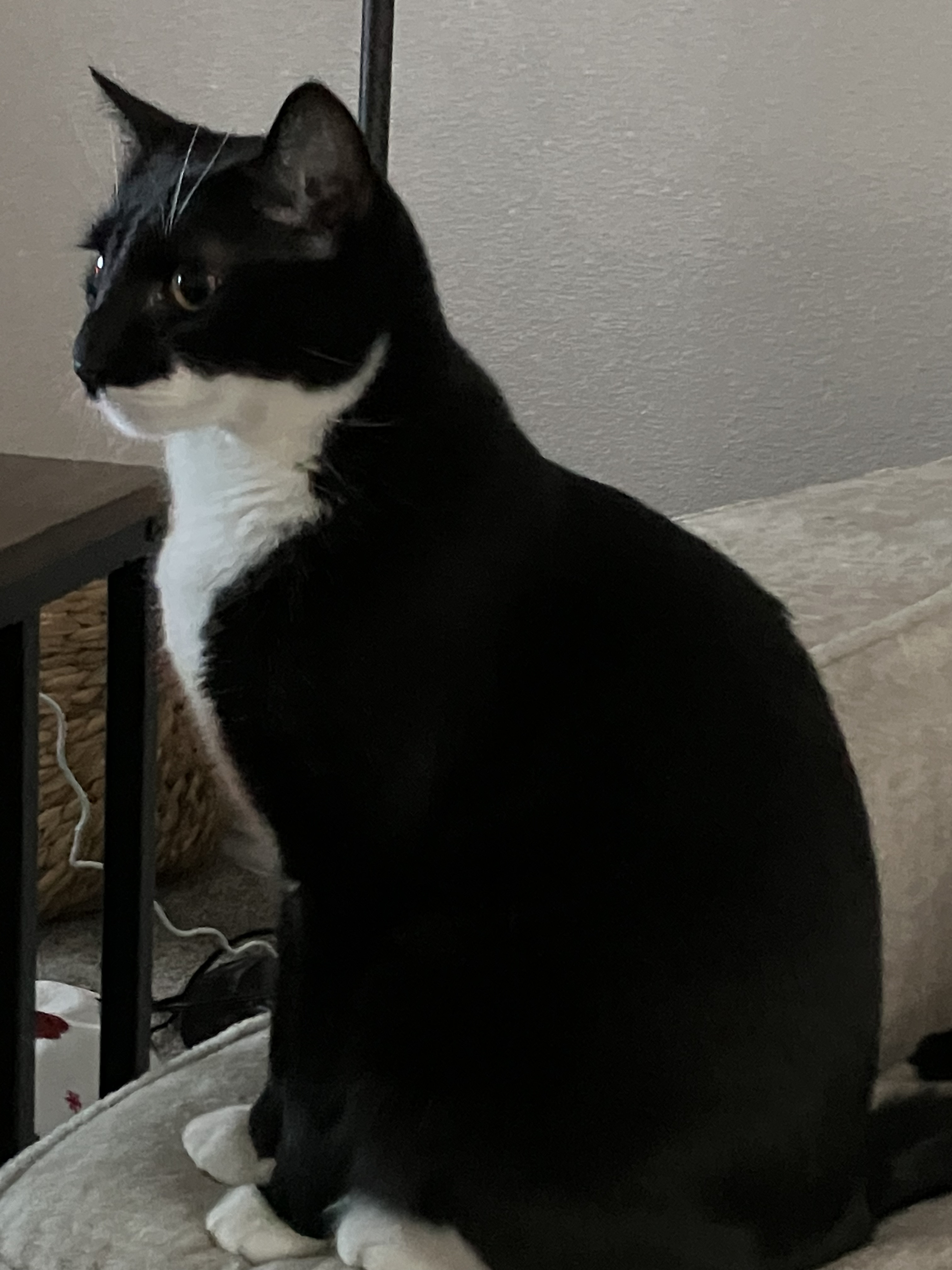 F2531265 7615 4601 9680 3910 B6 E6 AF59 — Postimages