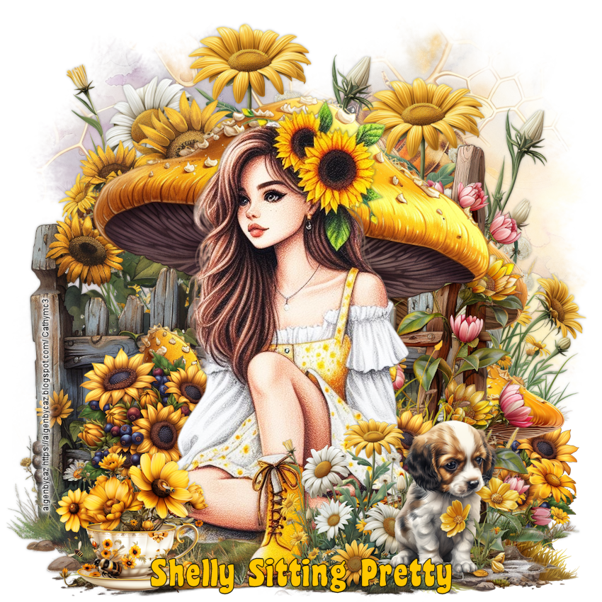 CAZonline Shelly Sitting Pretty vi — Postimages