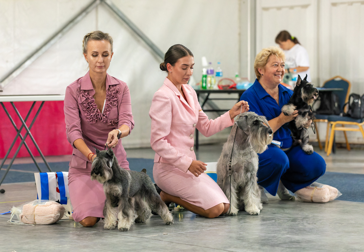 149 CR2 — Postimages