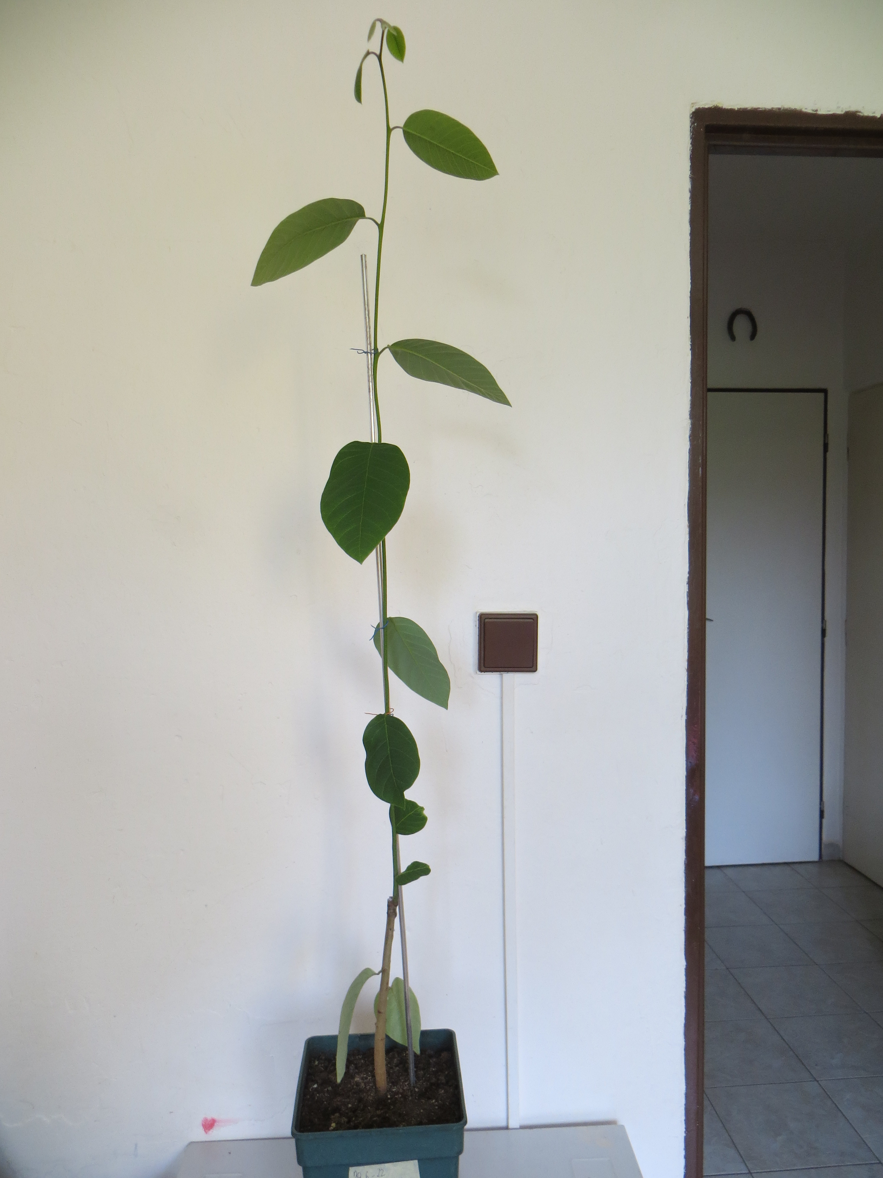 IMG 0001 — Postimages