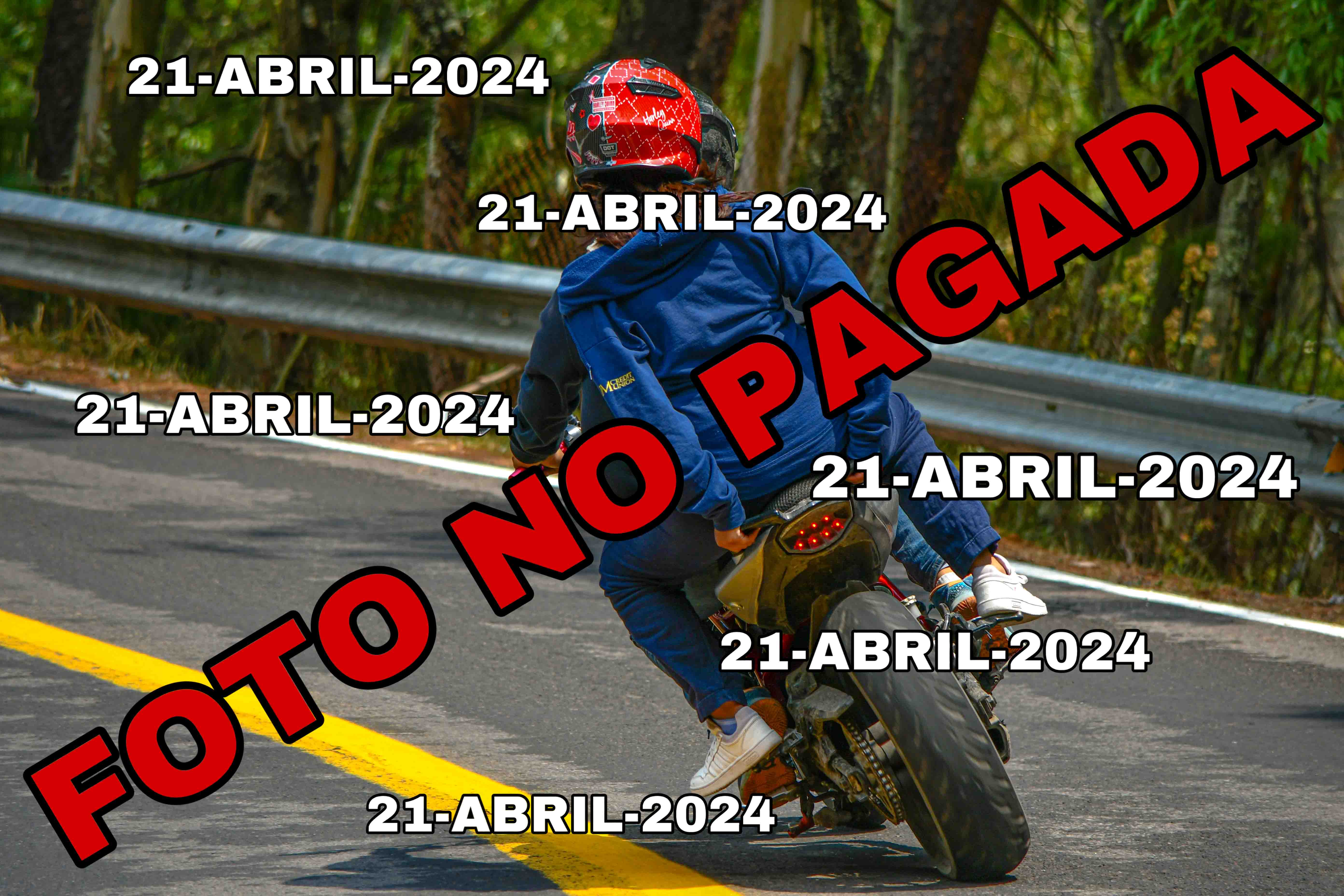 CC 2001 — Postimages