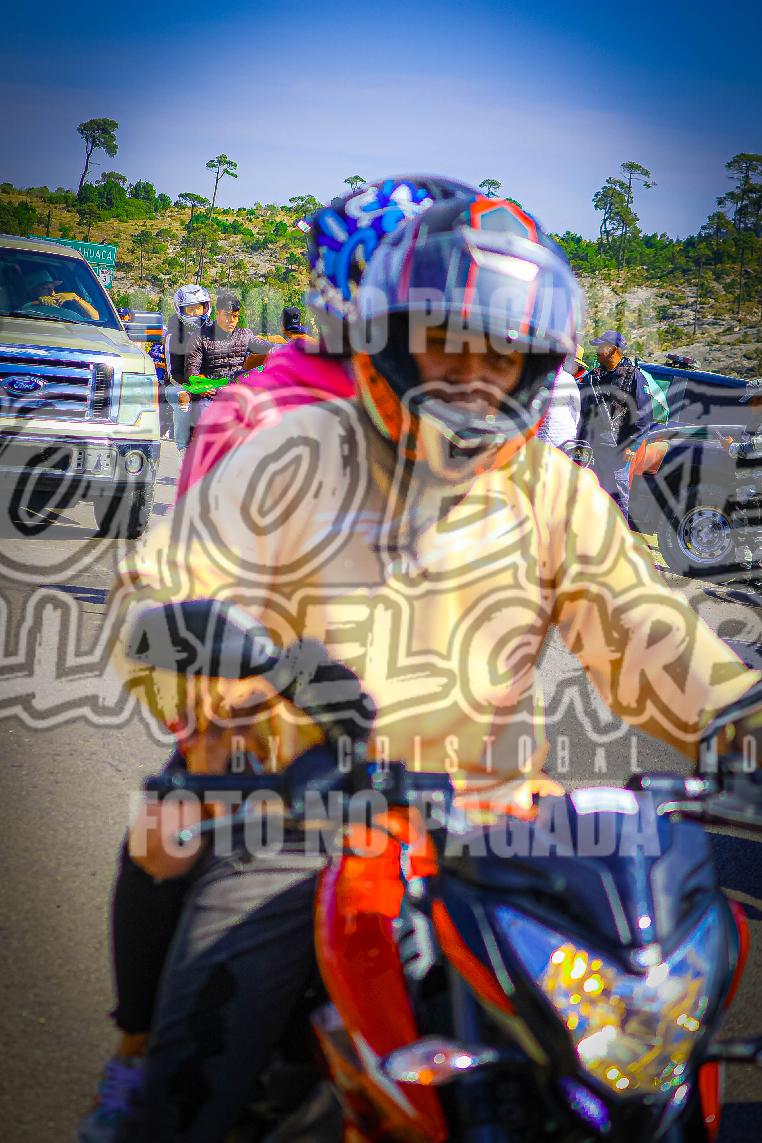 PL2 2021 — Postimages