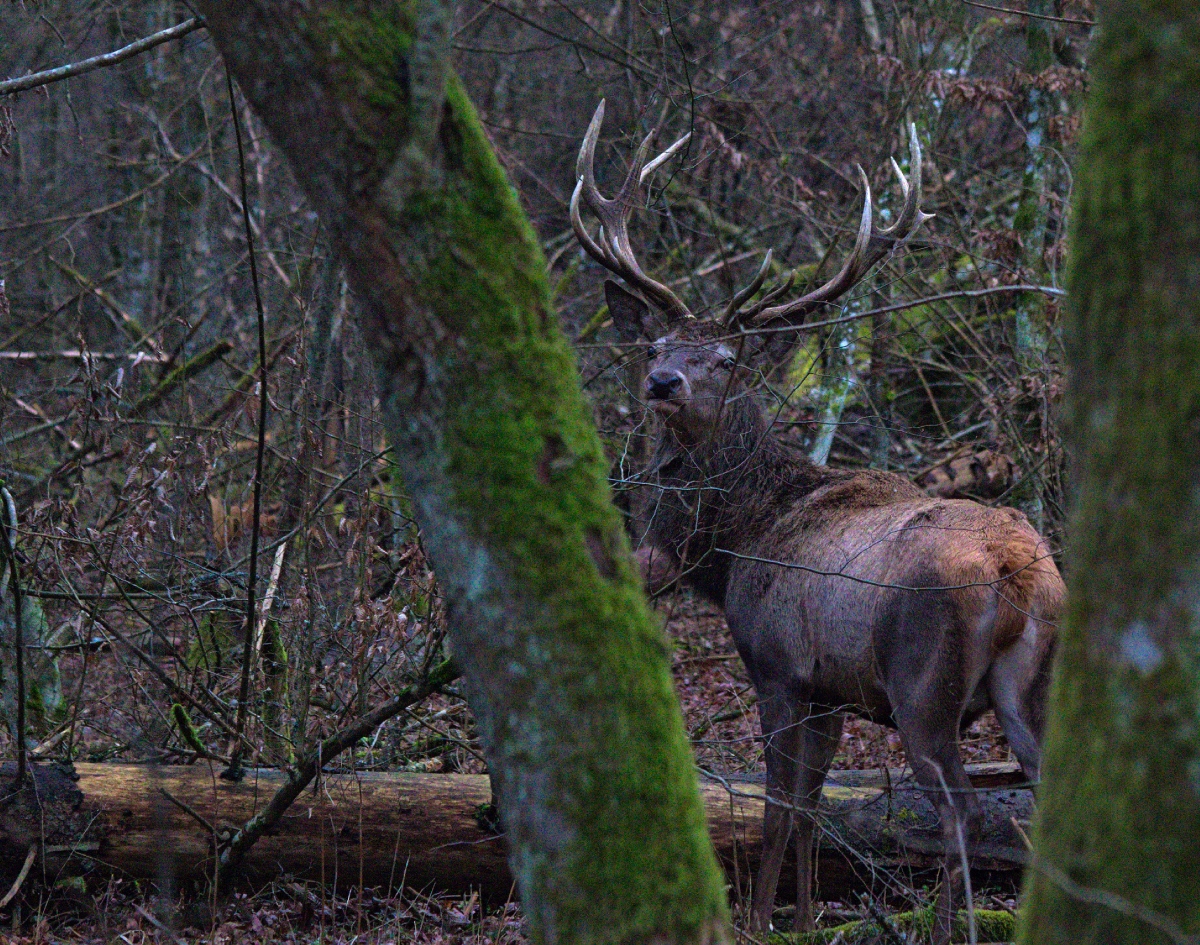 IMG 7258 Edited — Postimages