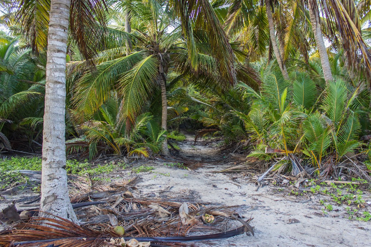 DR January 9 — Postimages