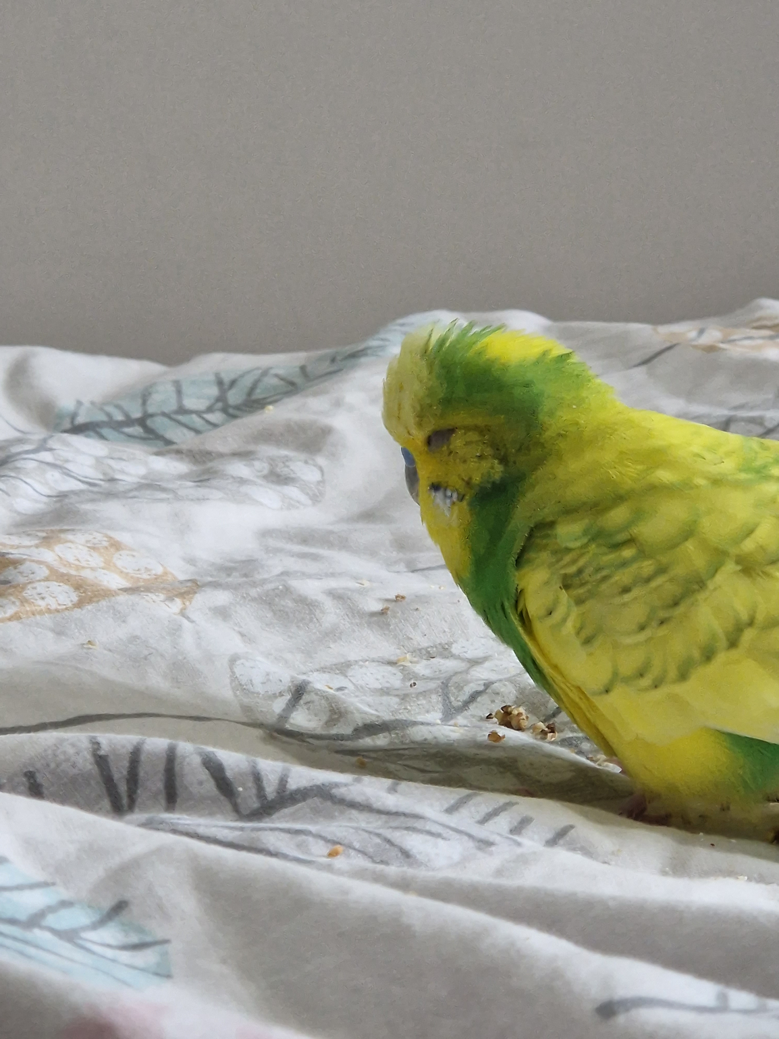 20231111 143804 — Postimages