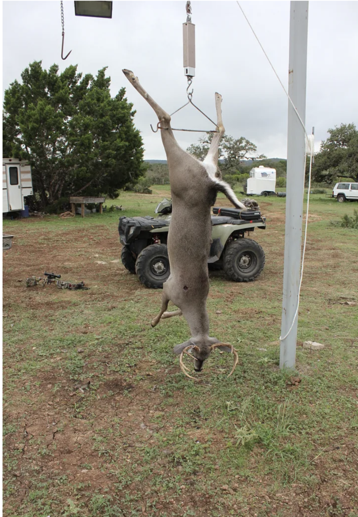 Screen Shot 2025 02 02 at 9 02 16 AM — Postimages