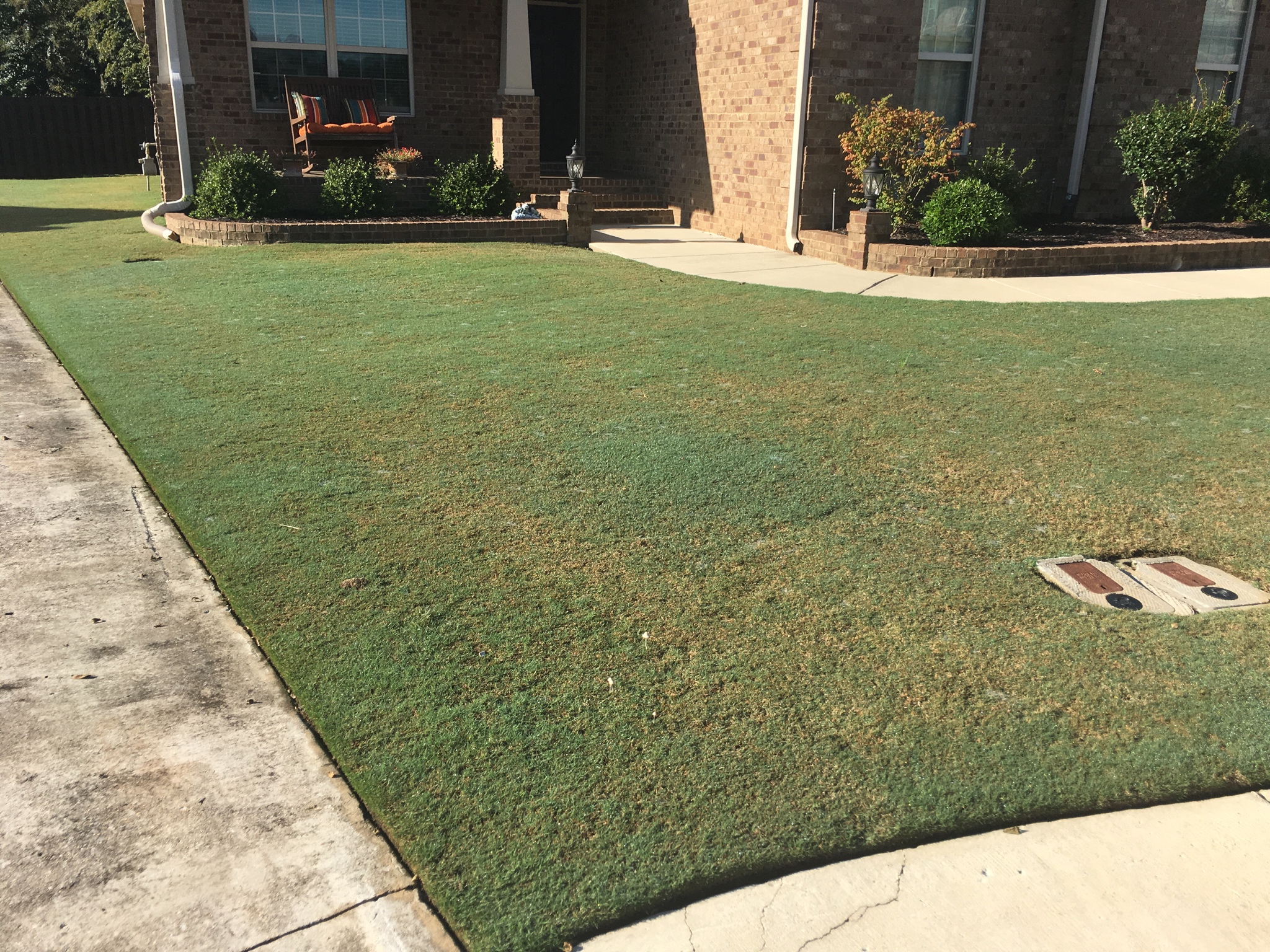 front yard 3 — Postimages