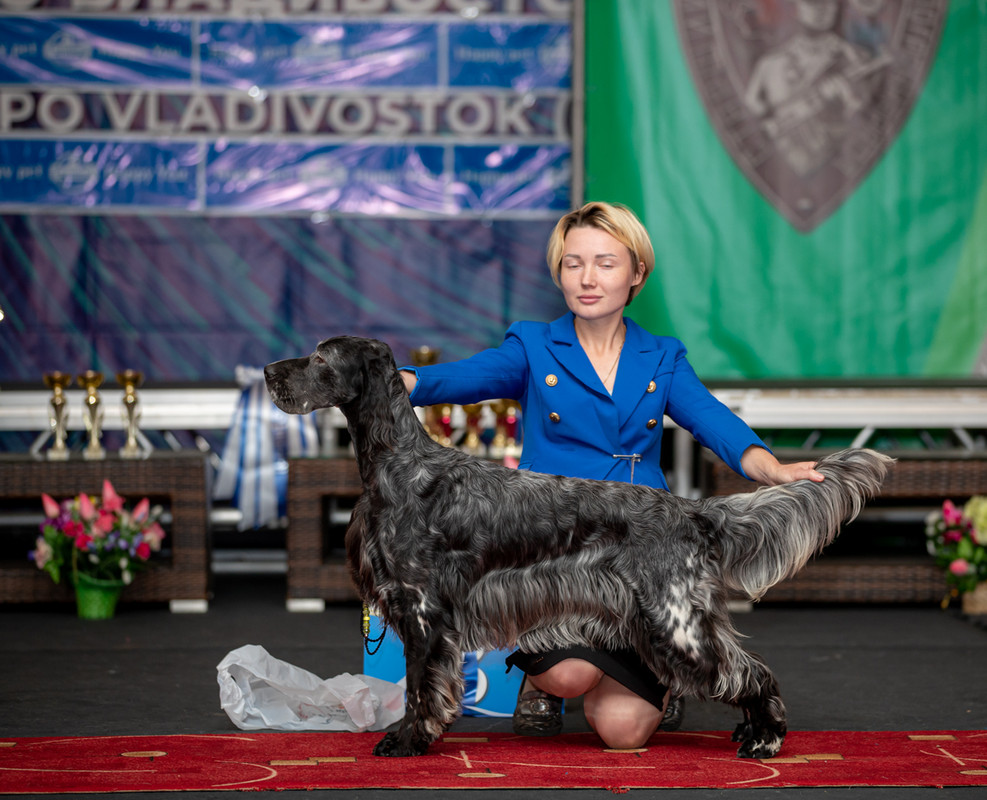 02 2144 — Postimages