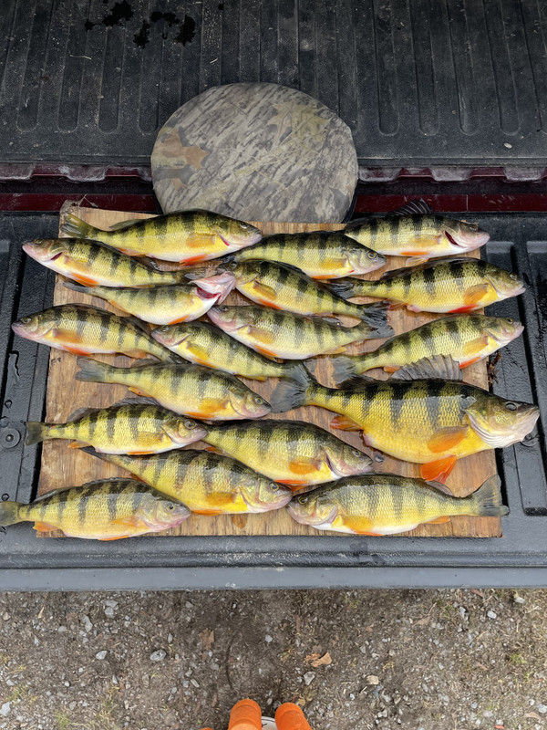 IMG 0594 — Postimages