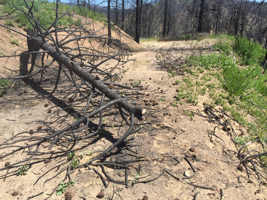 IMG 8062 — Postimages