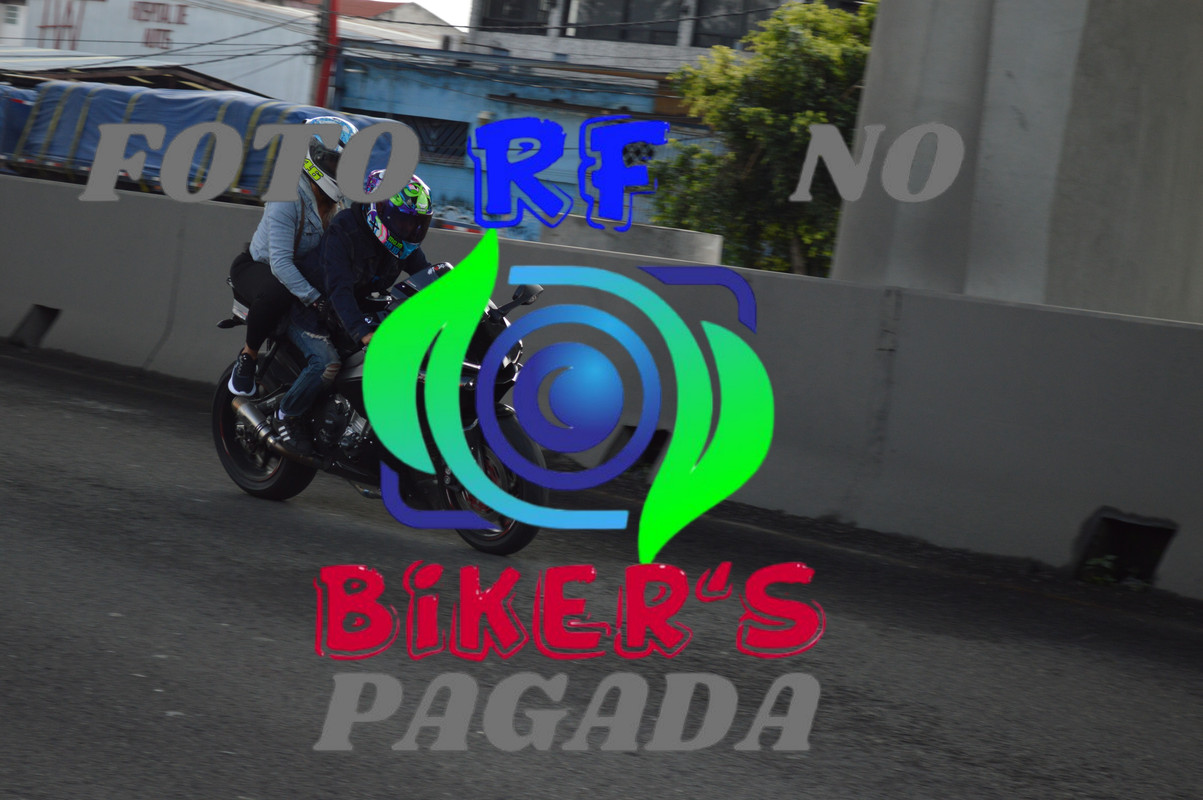 batch DSC 0439 — Postimages