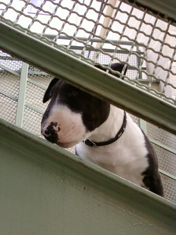 Zdj?cie0631 — Postimages