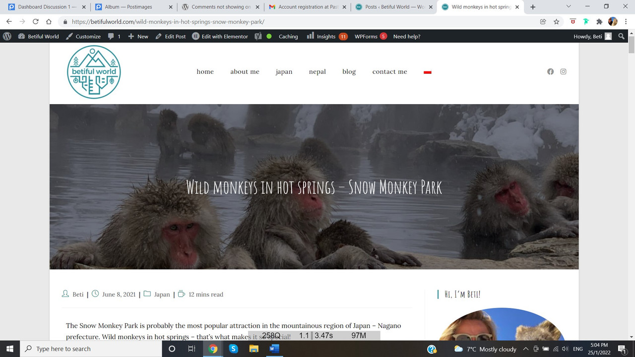 My old blog post comments meta missing — Postimages