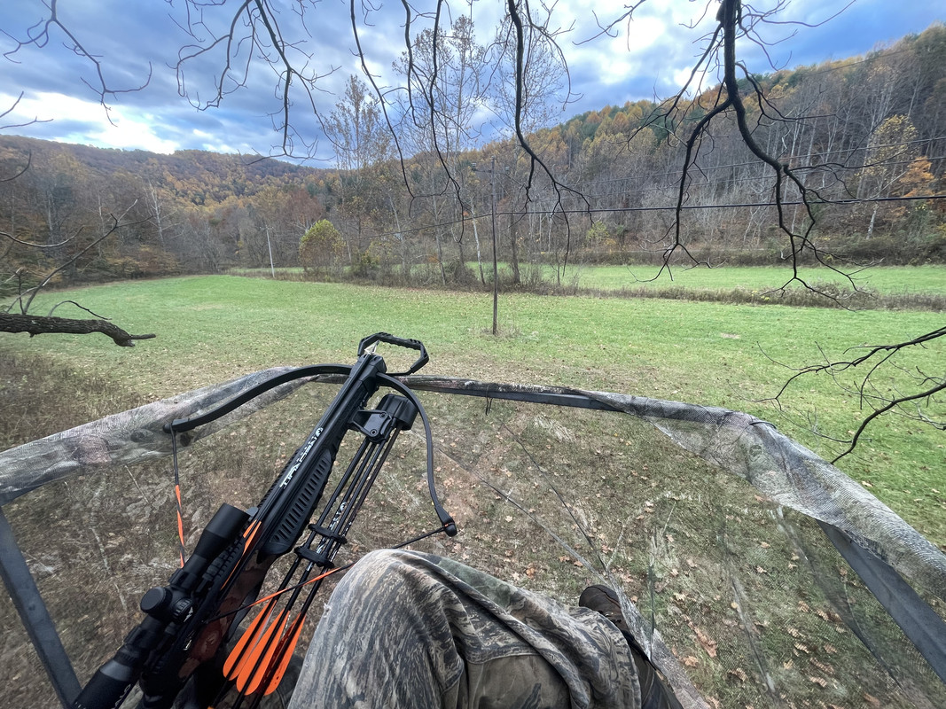 IMG 1583 — Postimages