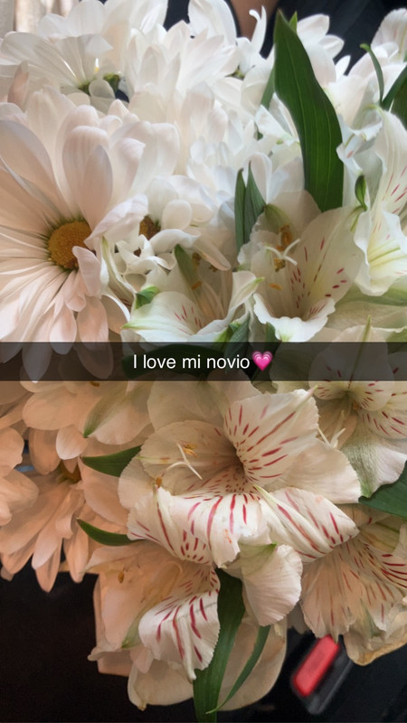 C19 FBAB1 A1 F7 4 C15 BA69 7615 D306998 E — Postimages