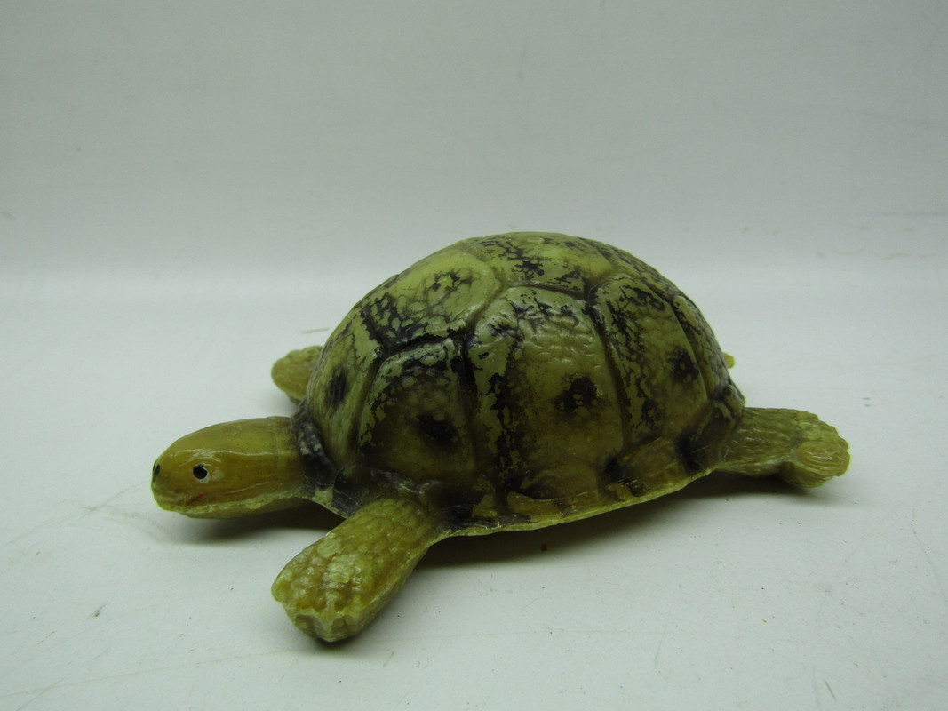 IMG 3156 — Postimages