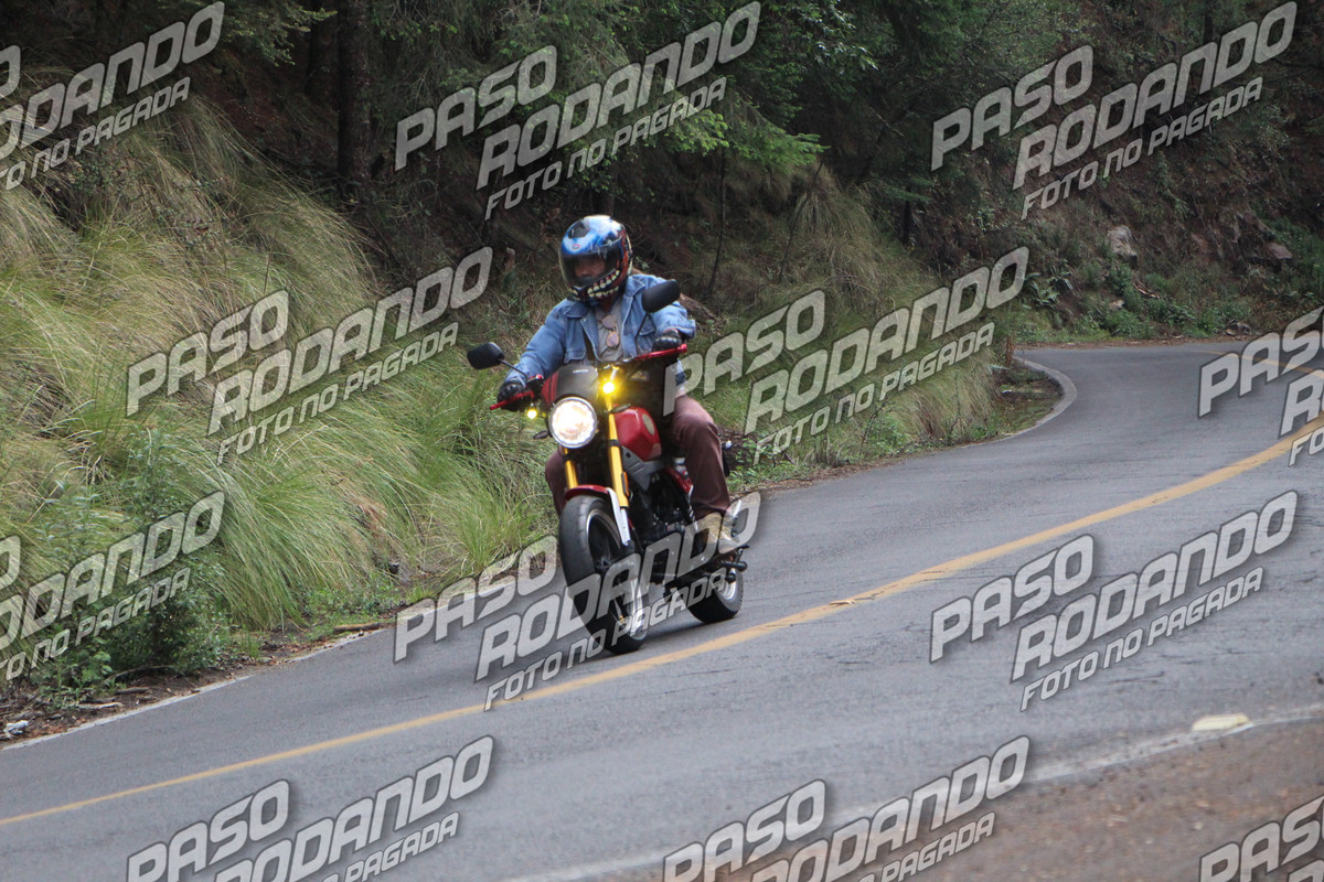 IMG 4699 wm 269583 19999999925 watermarked — Postimages