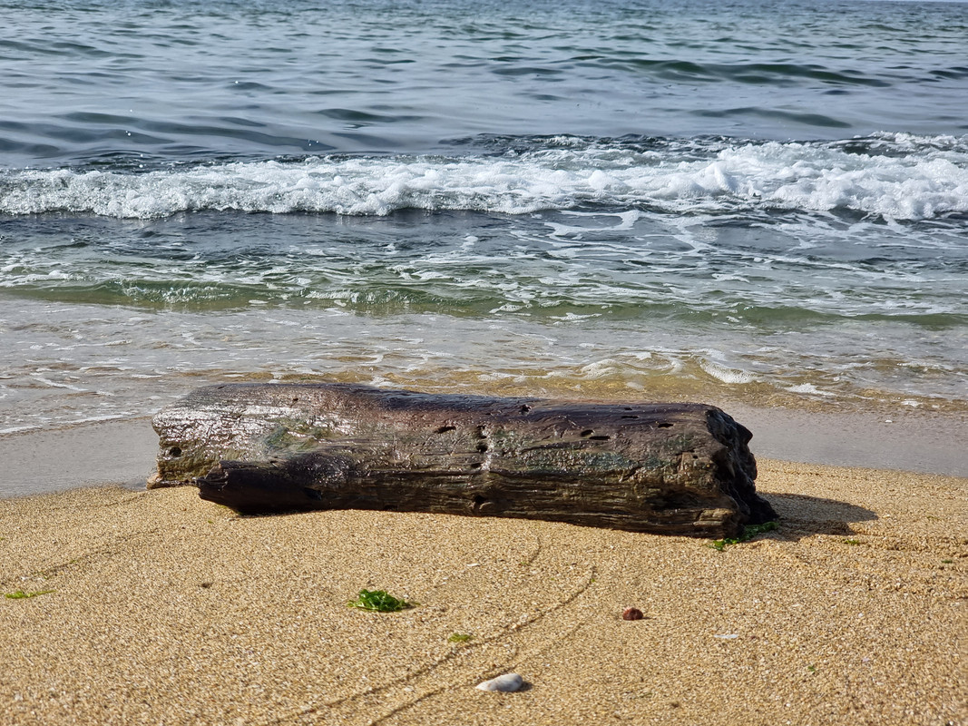 20220501 091305 — Postimages