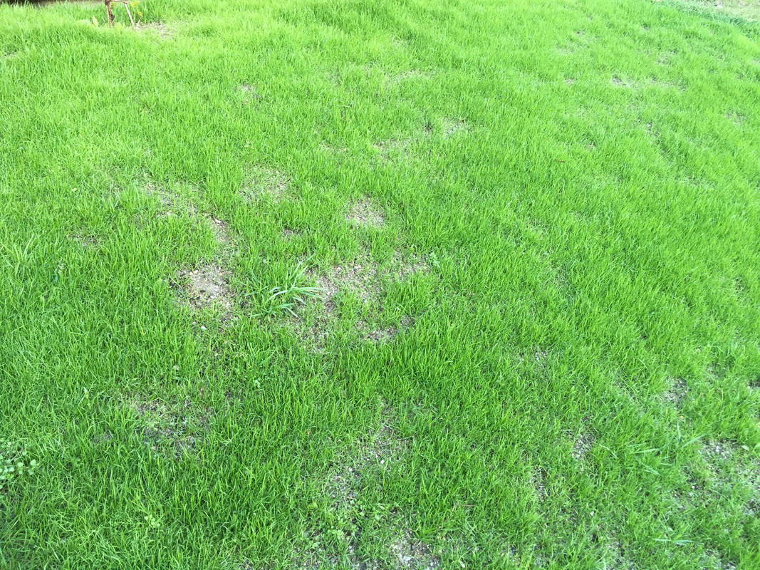 IMG 1485 — Postimages