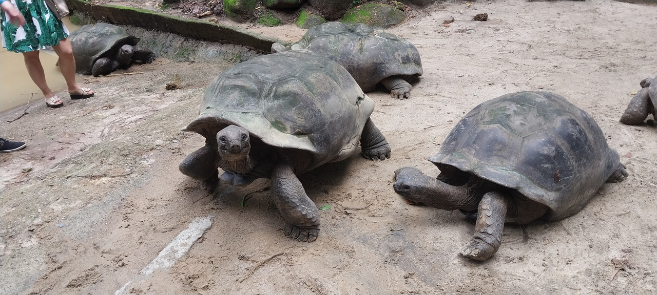 20231208 122642 — Postimages