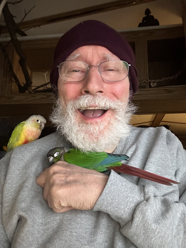 temp Image Y9d U3 L — Postimages