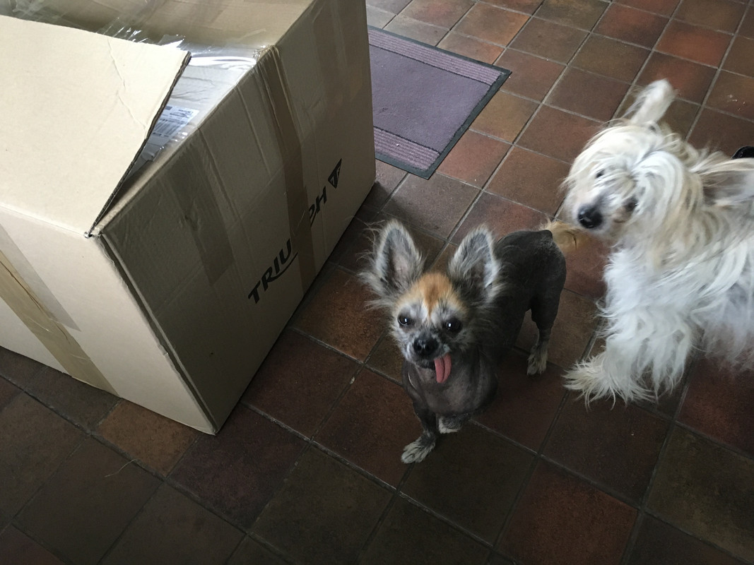 BD733216 4124 45 CA 8 FD2 BF8 C35 F9 D15 A — Postimages