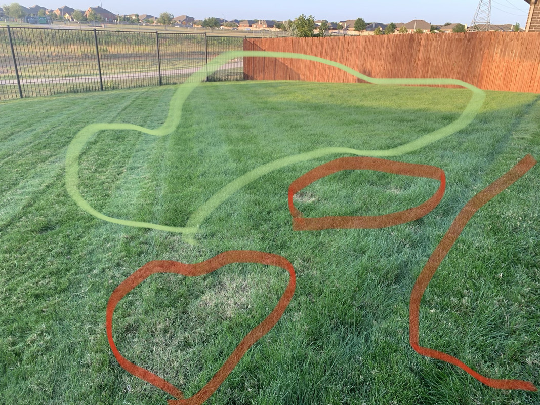 SPF-30 hybrid bluegrass | Page 10 | Lawn Care Forum