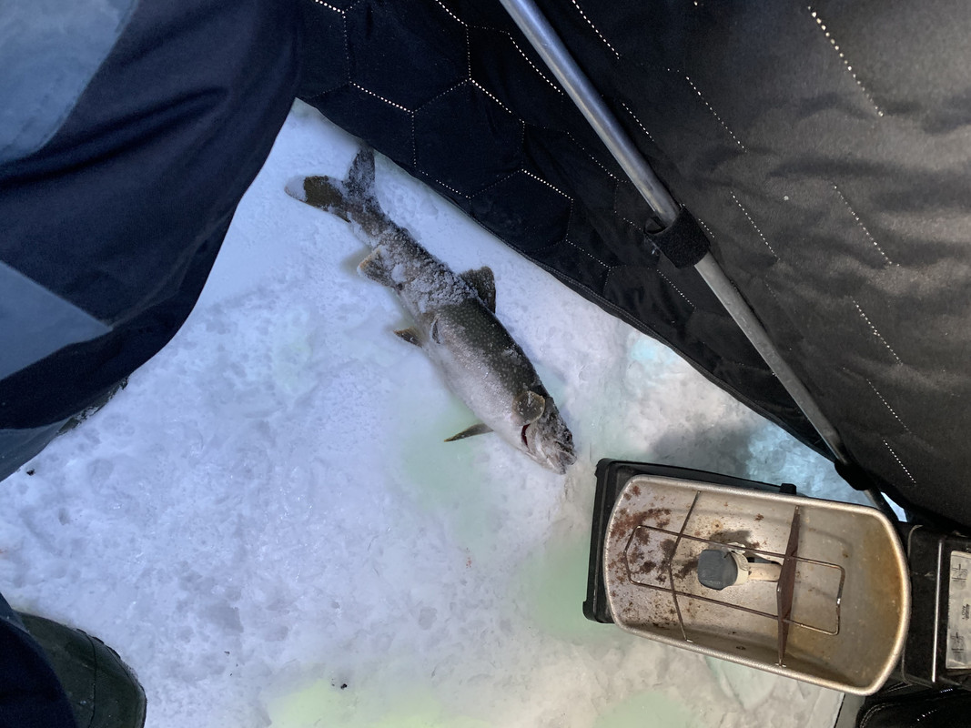 AEC4 F93 E 0384 44 B2 827 F 66 A931 FCB1 C9 — Postimages