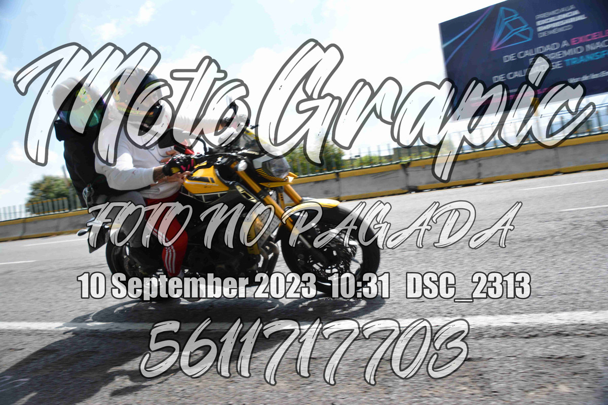 motgr DSC 2313 — Postimages