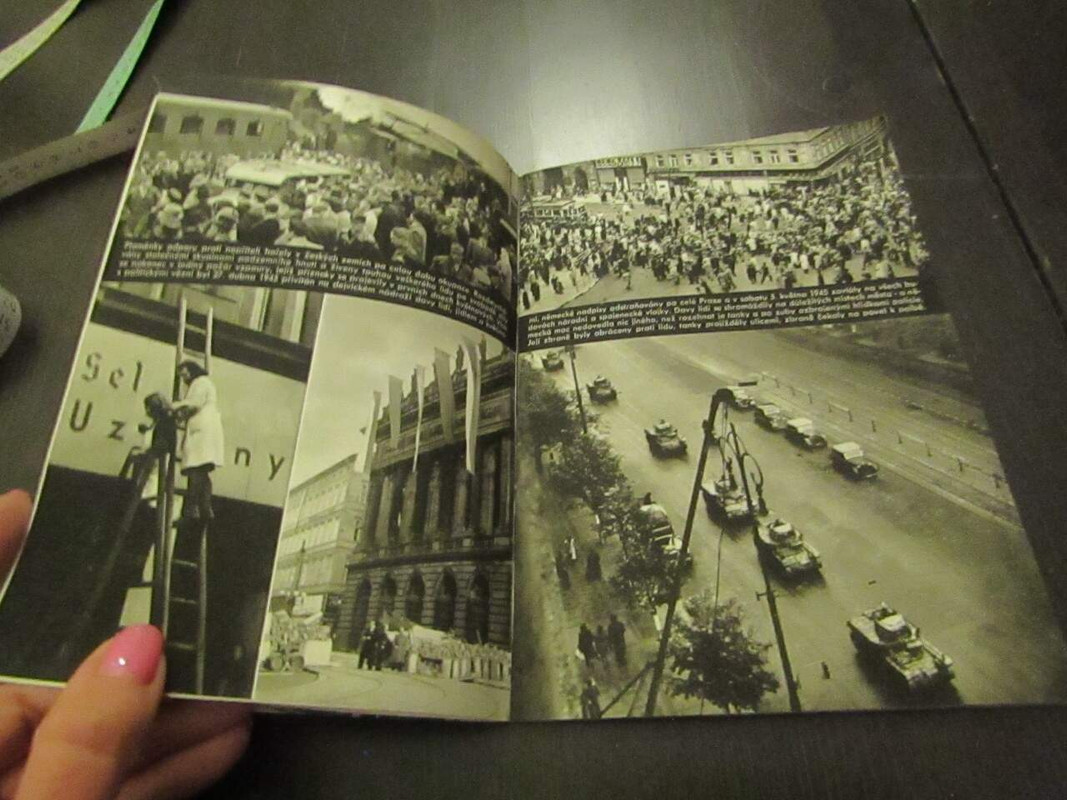 IMG 8051 — Postimages