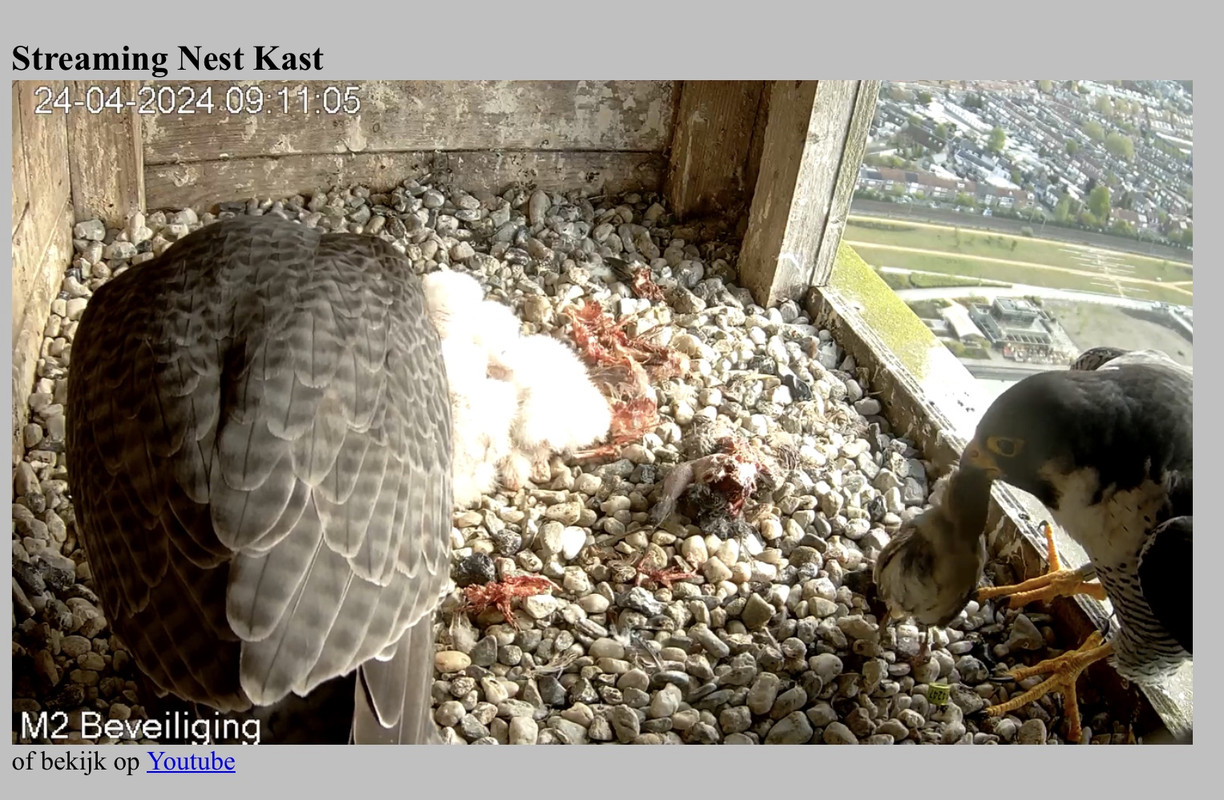 5 C6 CEEB6 306 E 4 B11 B293 1 F99192 AC67 A — Postimages