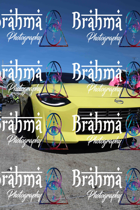 IMG 1847 — Postimages