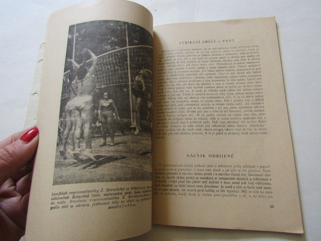 IMG 8895 — Postimages