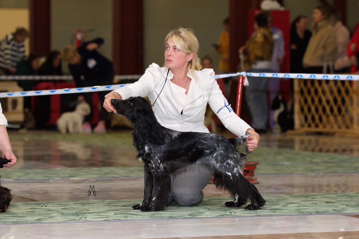 IMG 0087 — Postimages