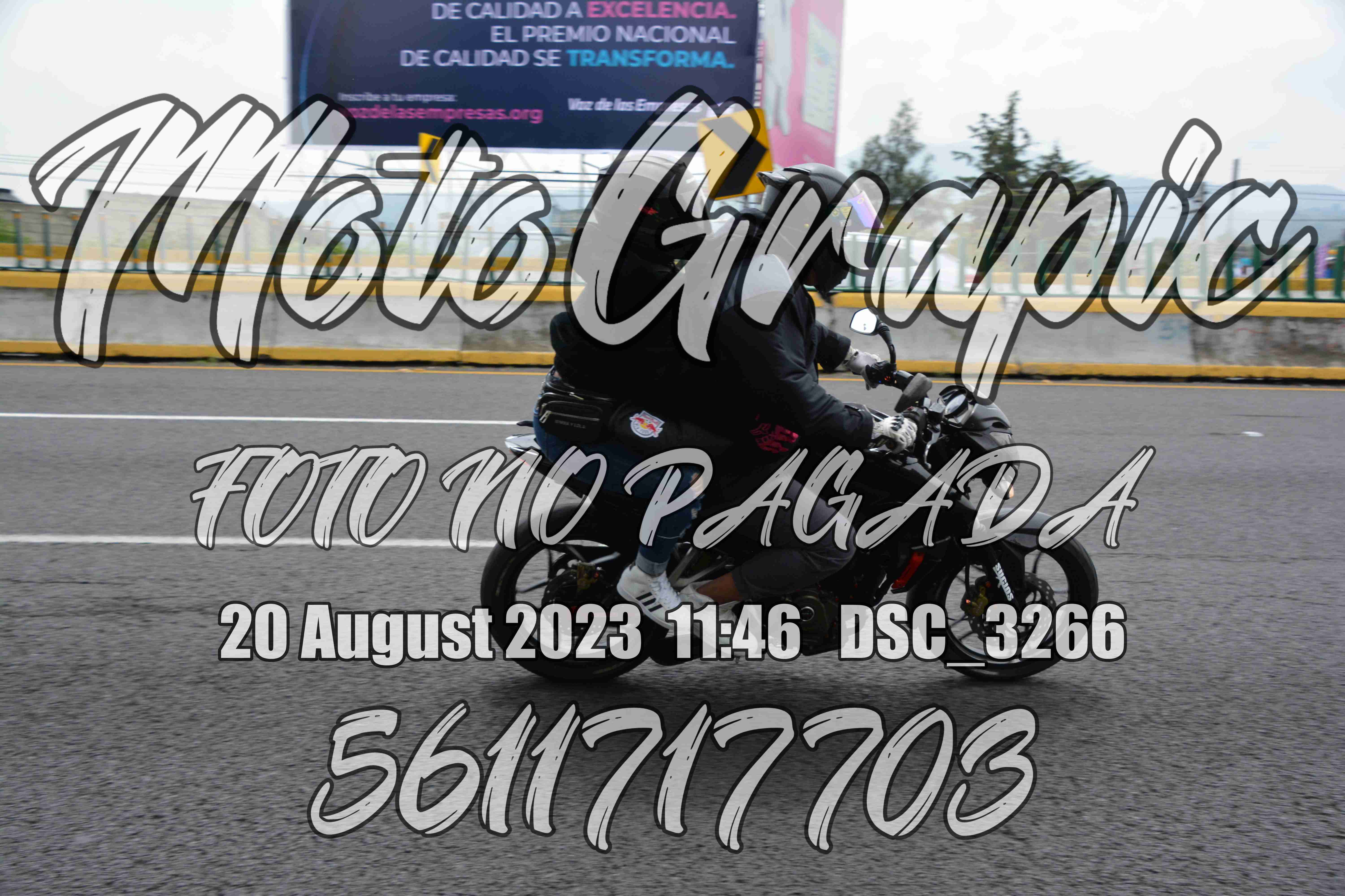 motgr DSC 3266 — Postimages