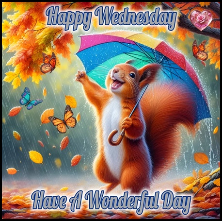 wednesday squirrel — Postimages