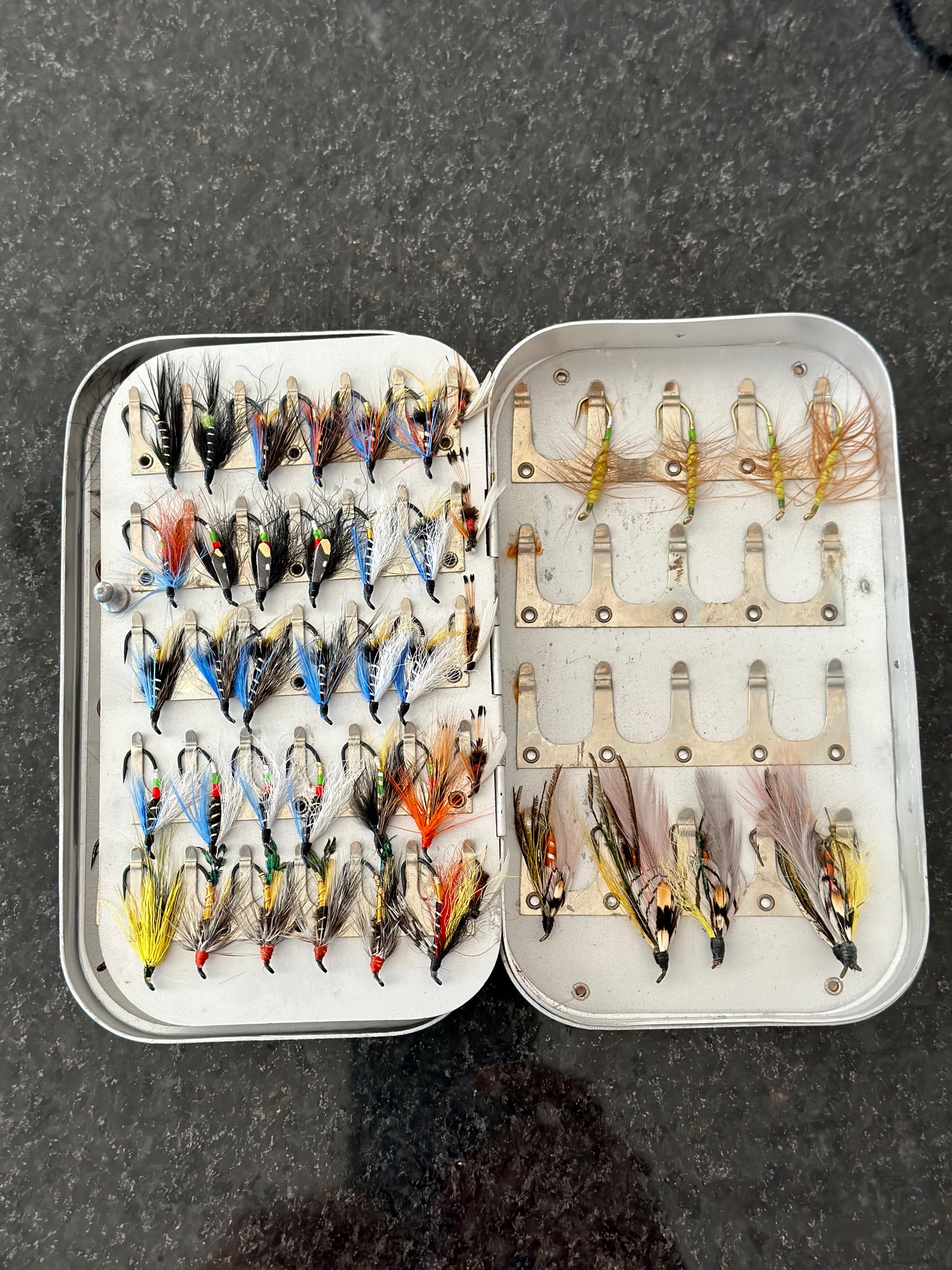 Flies as art 3 — Postimages