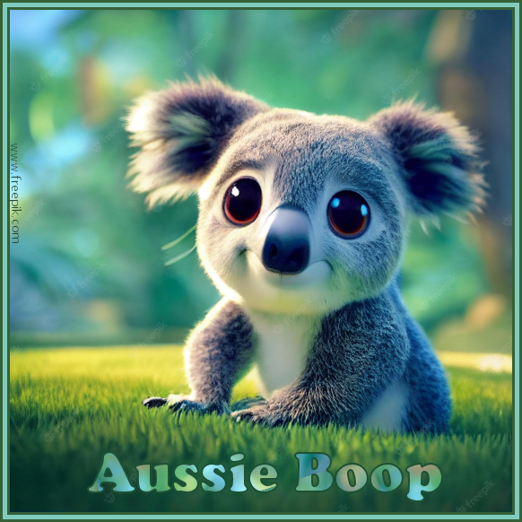 cute baby koala boop — Postimages