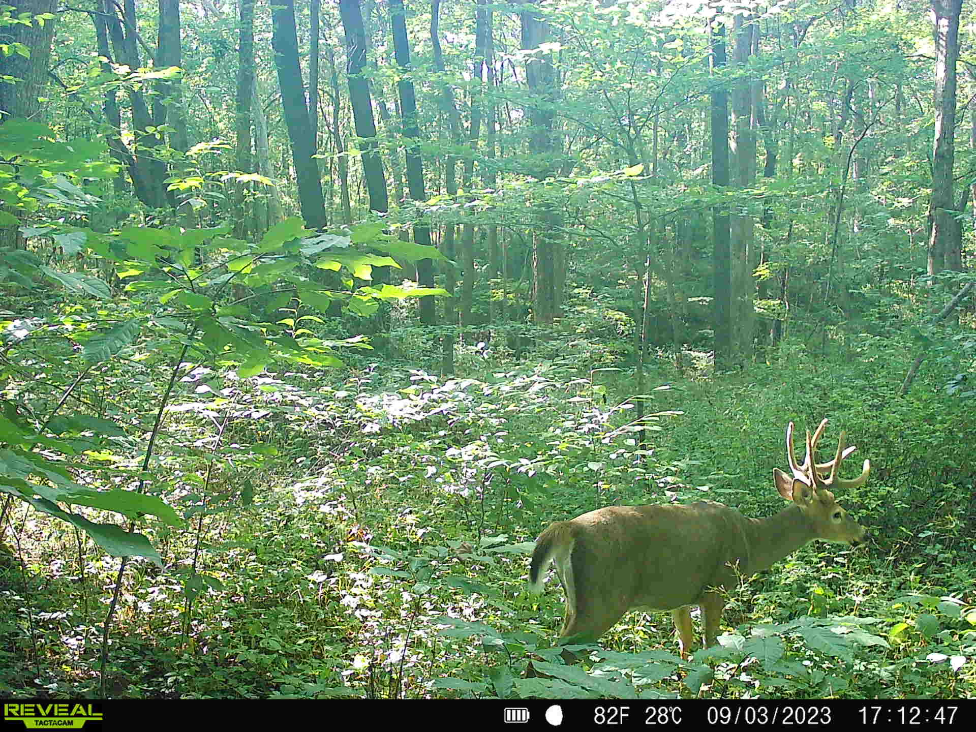 IMG 0222 — Postimages