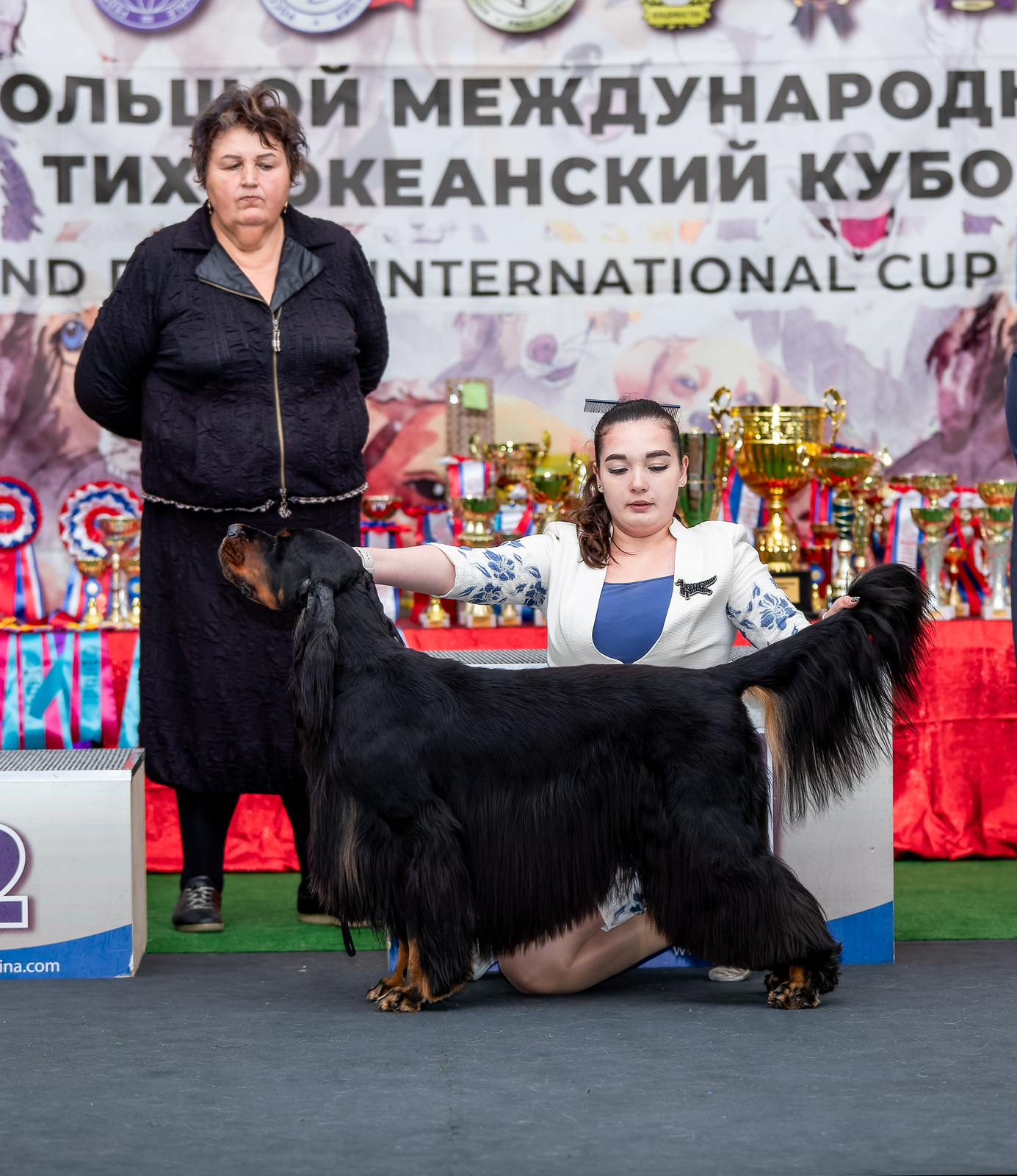 30 1266 — Postimages