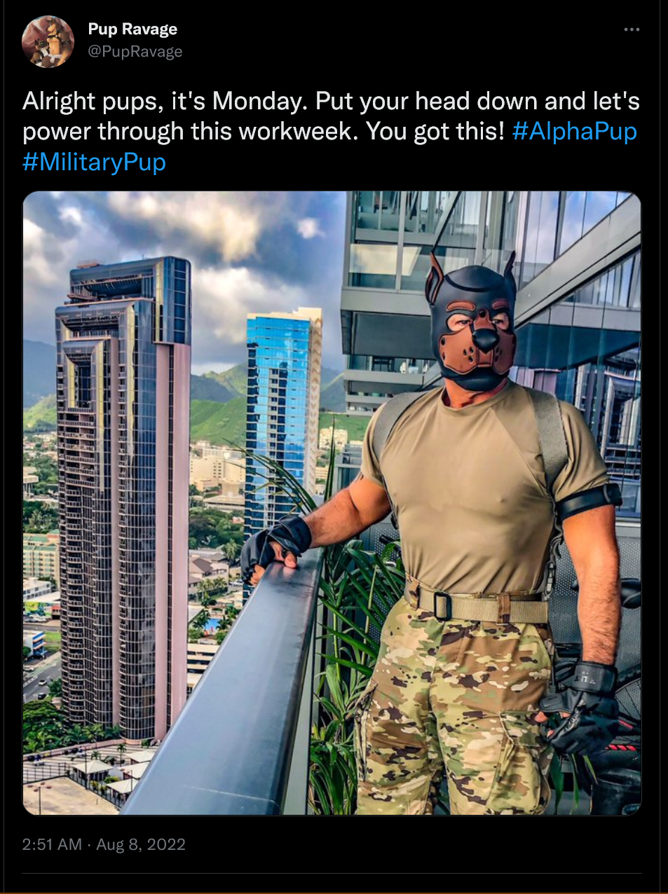 1670878825454695 — Postimages