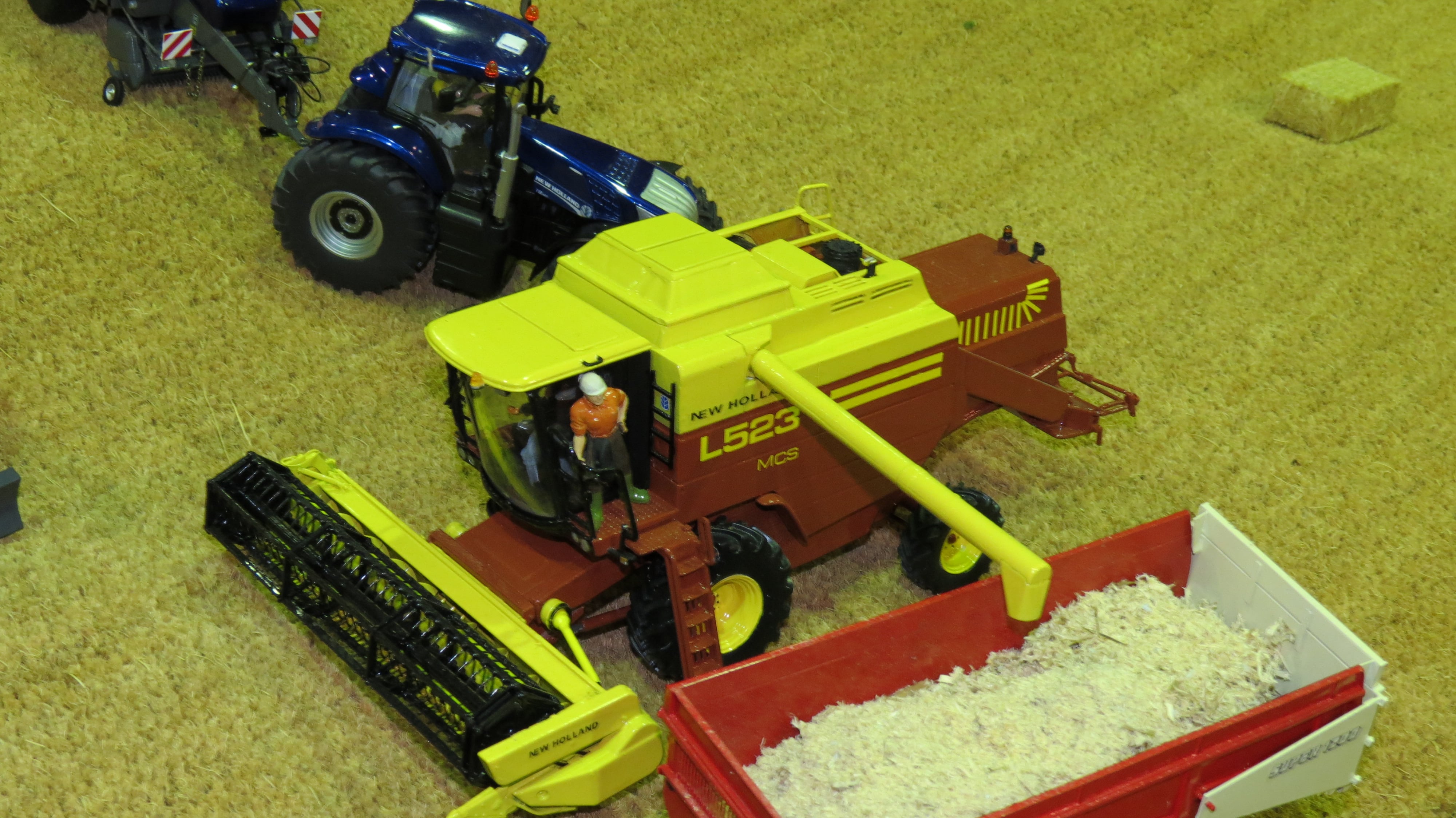 IMG 8772 — Postimages