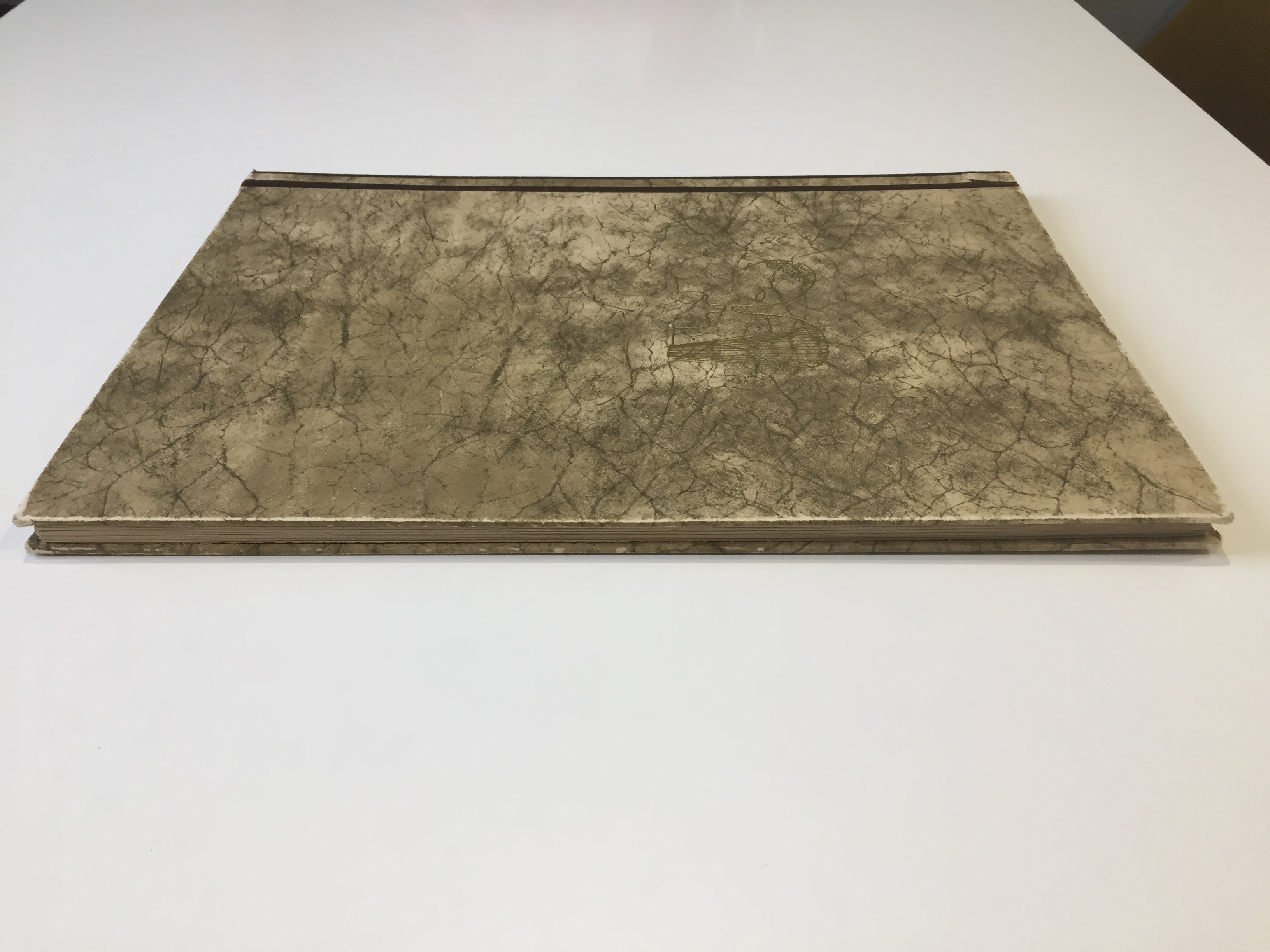 IMG 3389 — Postimages