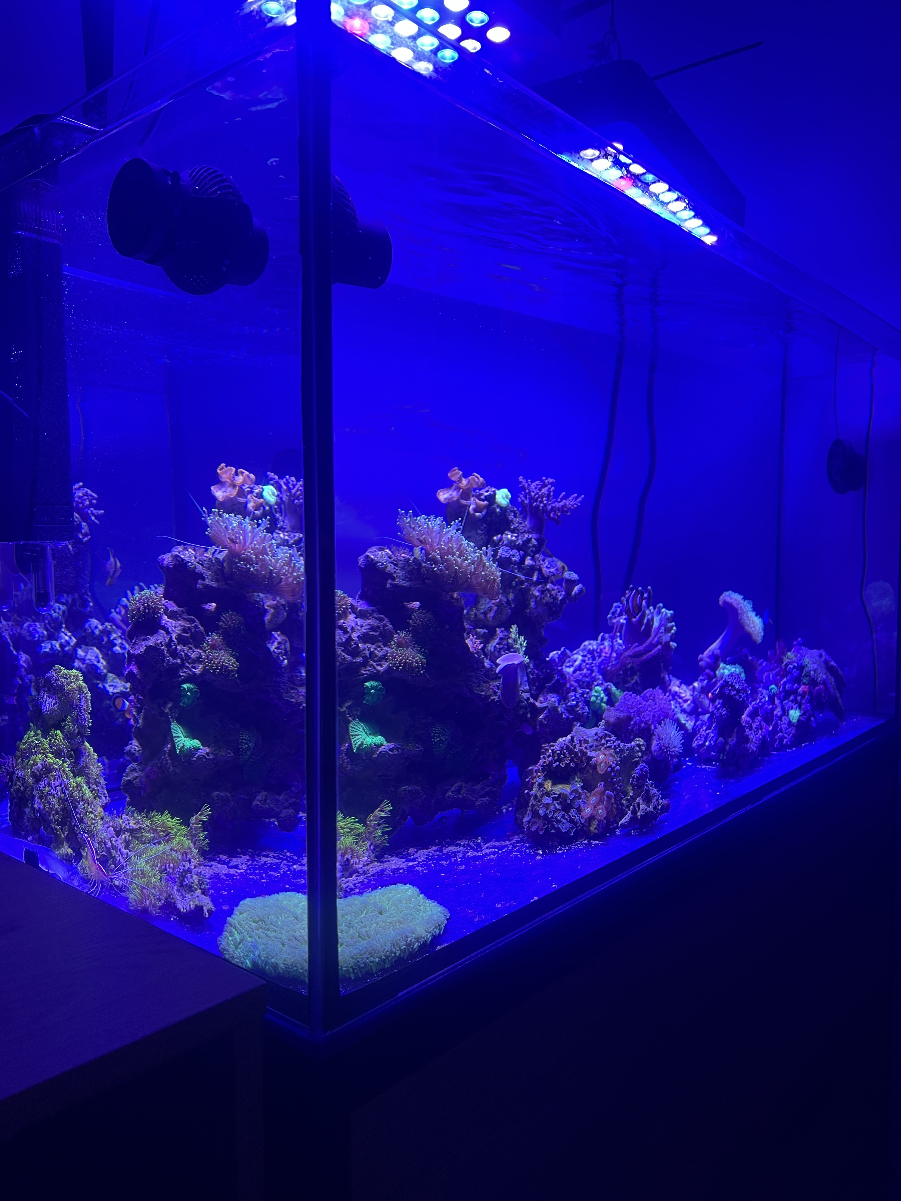 IMG 2566 — Postimages