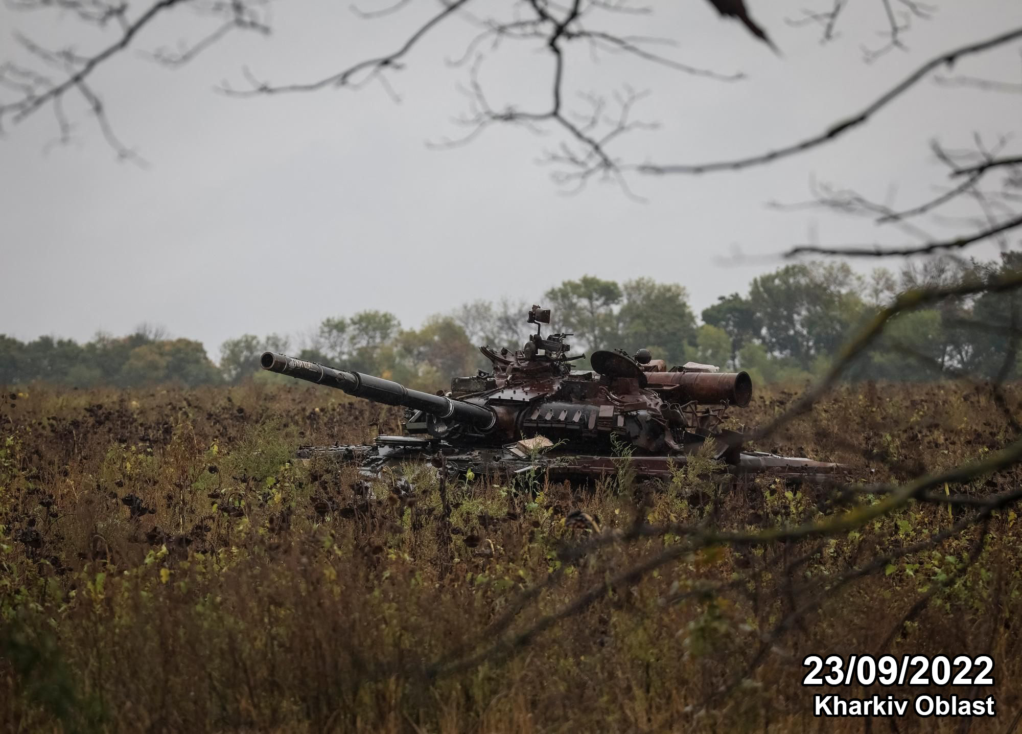 2022 09 23 T 80 BV 2 — Postimages