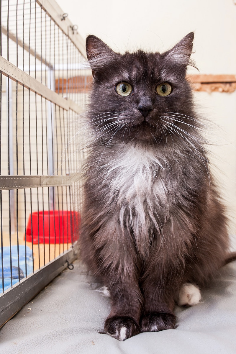 MG 9275 — Postimages