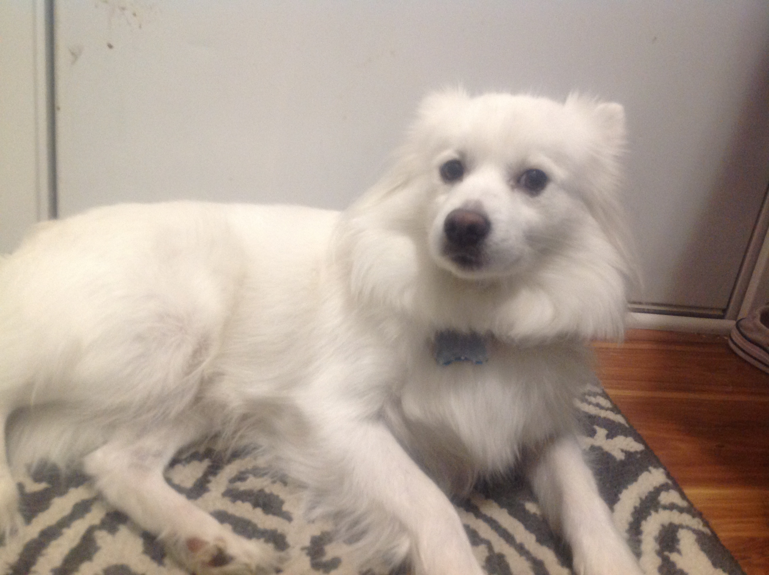 IMG 2005 — Postimages