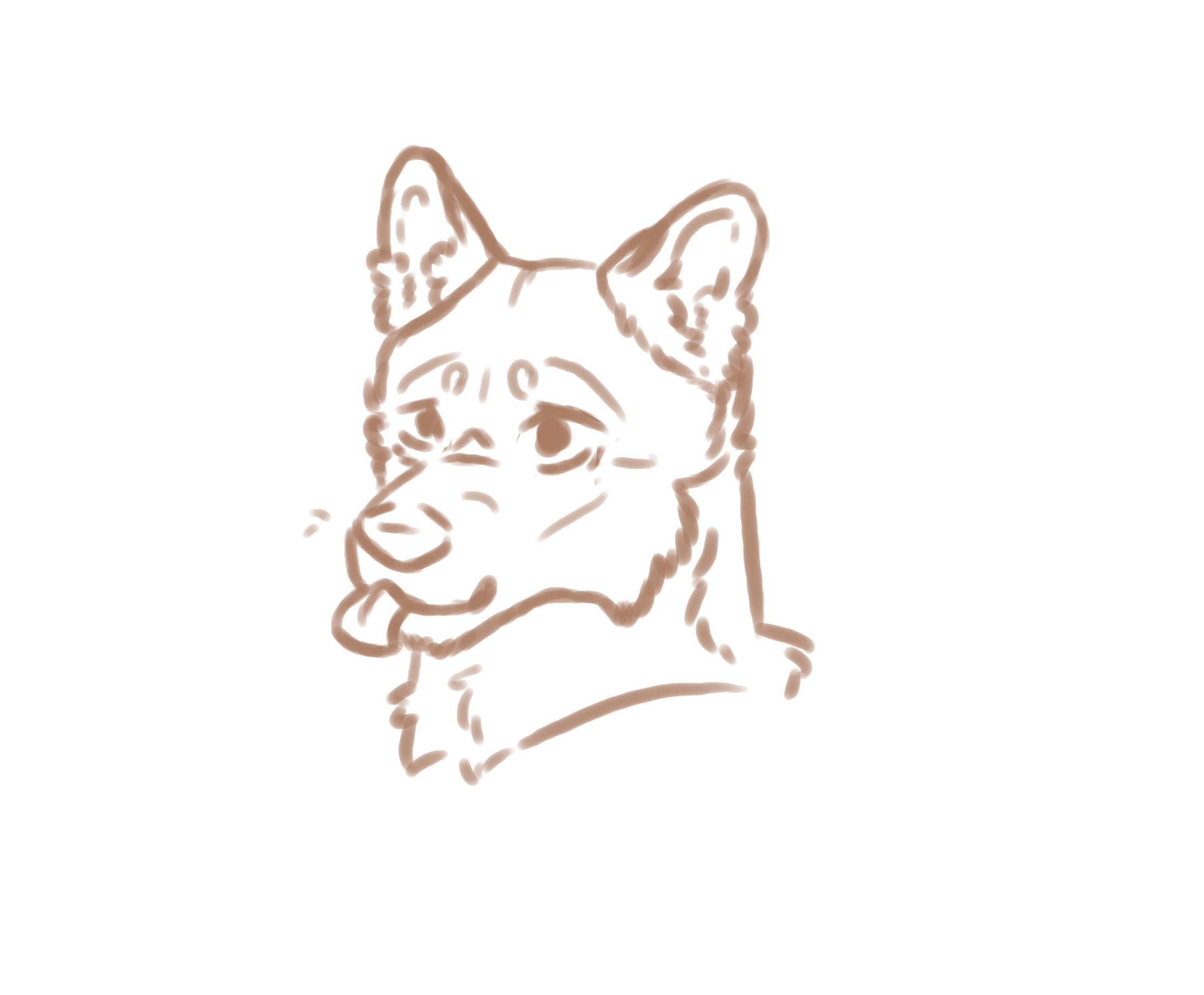 YWH blerb — Postimages