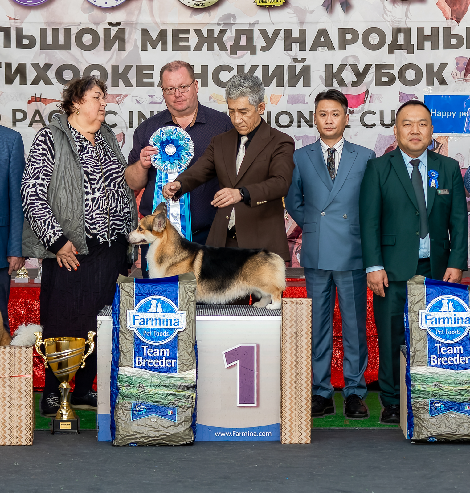 01 659 — Postimages